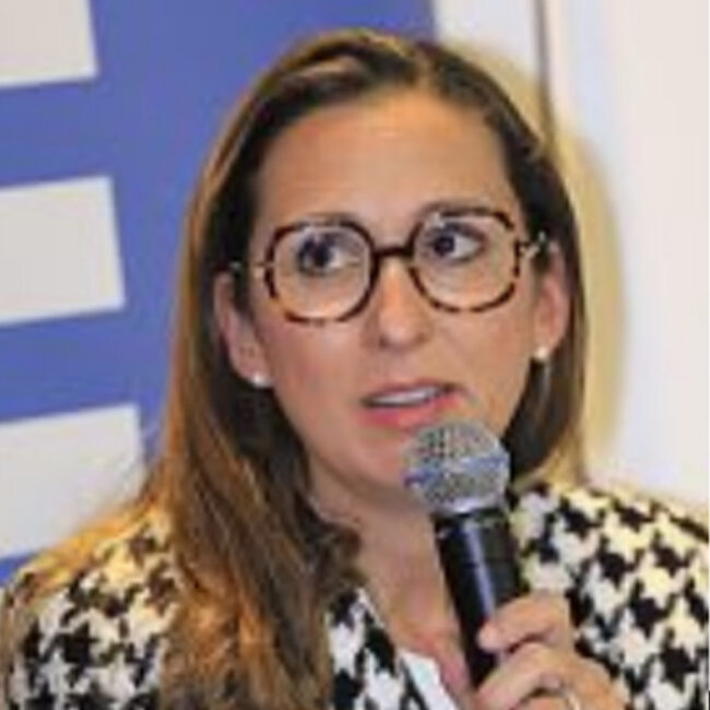 Nice Climat Summit 2024 FR